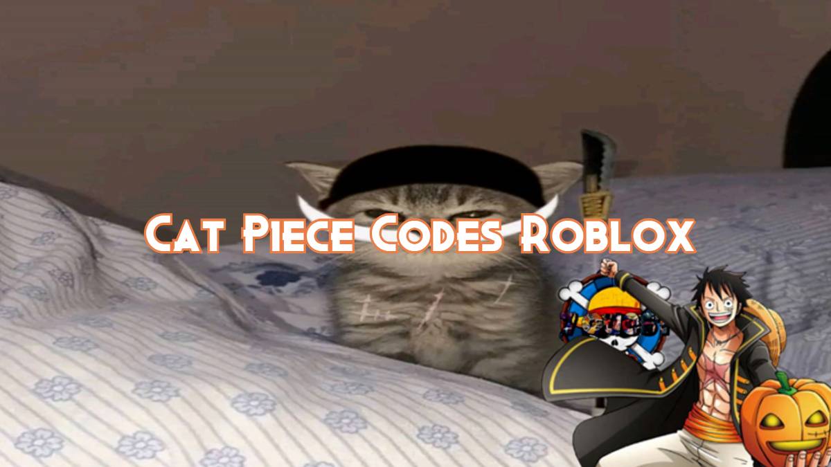 Cat Piece Codes February 2024 Pillar Of Gaming