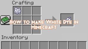 How to make White Dye in Minecraft - Pillar Of Gaming