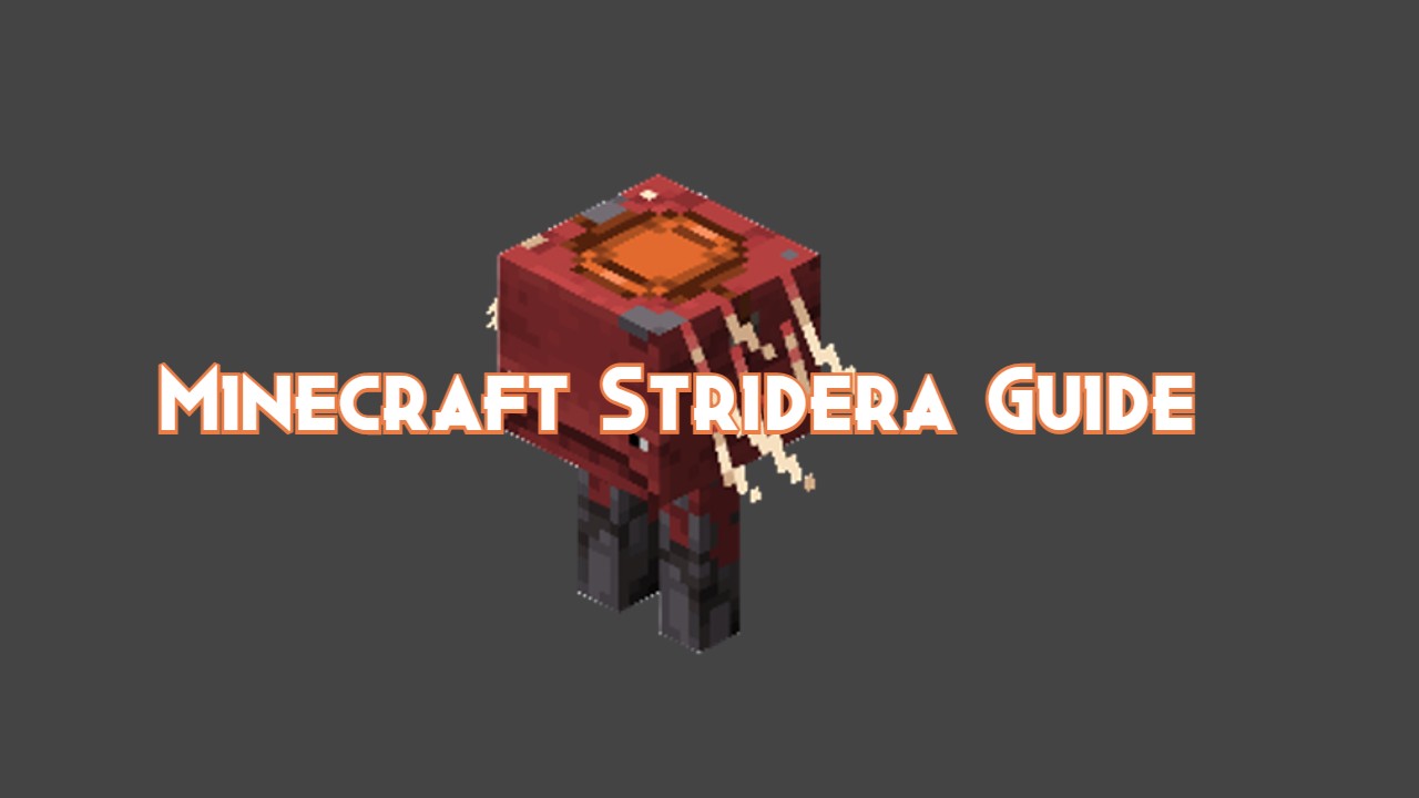 Minecraft Strider Guide: Drops, Behavior and Attacks - Pillar Of Gaming